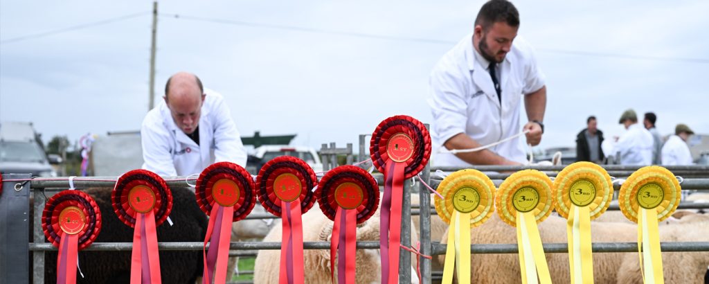 attractions-2024 | Kingsbridge Show